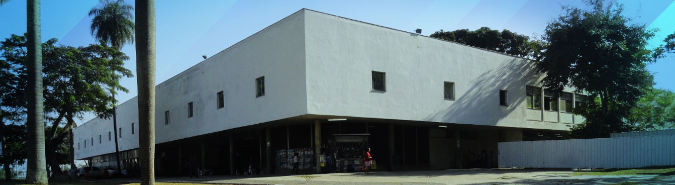 Institucional - IPPMG